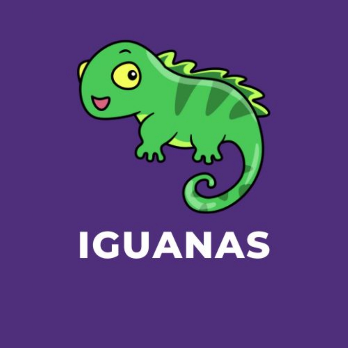 Orton Wistow Primary School - Year 3 & 4 21.11.25